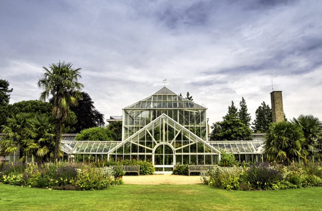 A Guide To Cambridge - The Best Things To Do In Cambridge